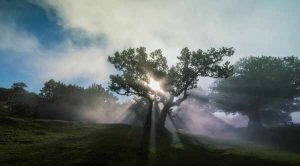 DIS2025 – ACM Designing Interactive Systems Conference 2025